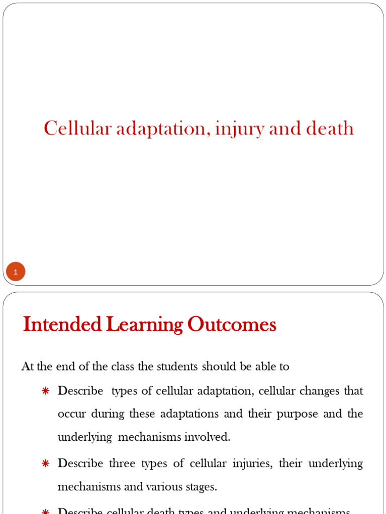 Lecture 2 Cell Adaptation, Injury and Death | PDF