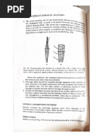 Flank Incisions in Urology Surgery | PDF | Kidney | Abdomen