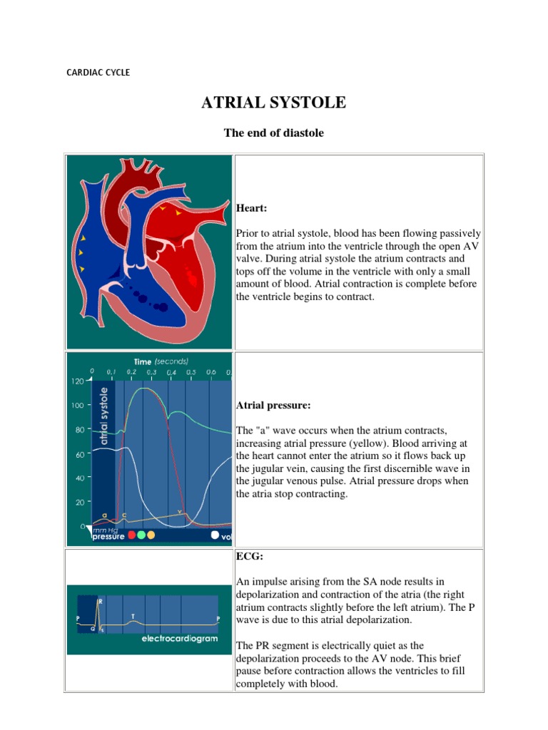 Atrial Systole: The End of Diastole | PDF | Atrium (Heart) | Heart Valve