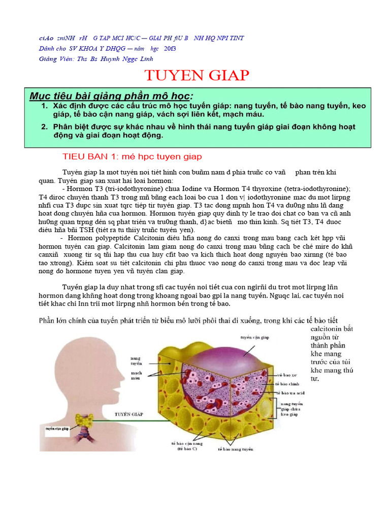 PDF Mo Hoc Giai Phau Benh He Noi Tiet | PDF