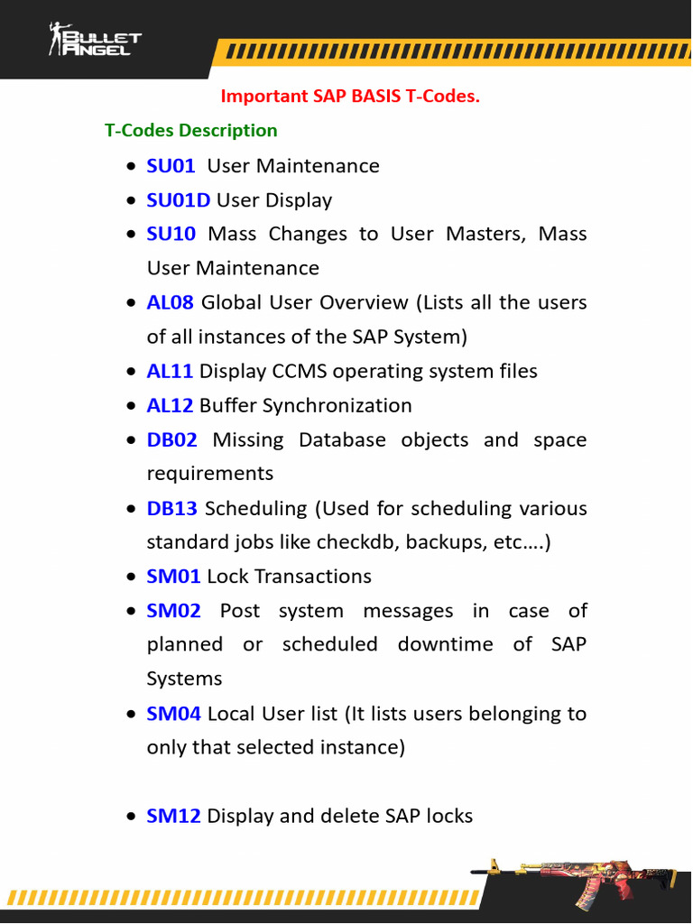 Important Sap Basis T Codes 1709353778 | PDF | Software Engineering ...