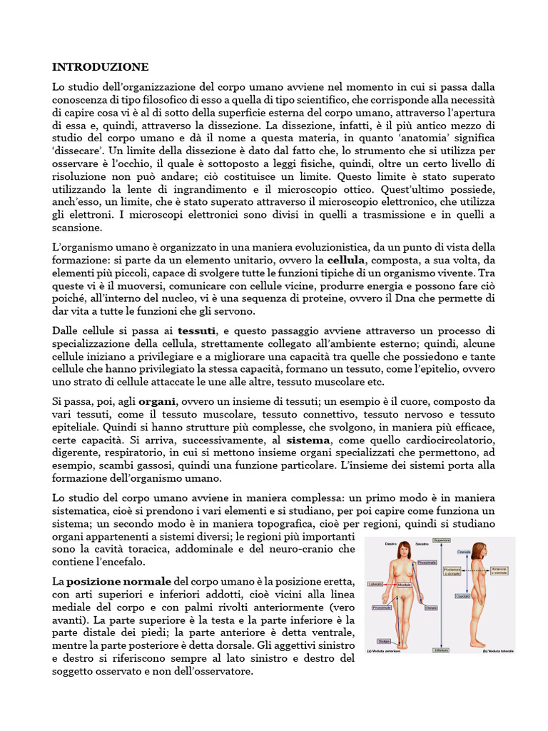 Appunti Completi Anatomia | PDF