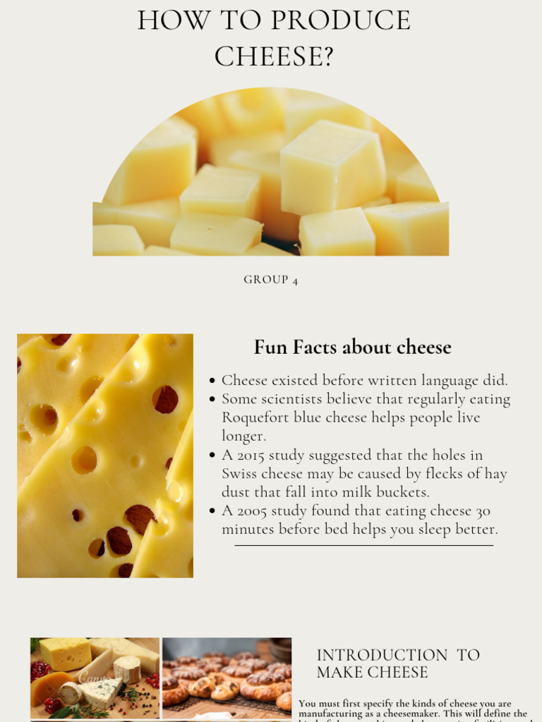 Group 4 Cheese | PDF | Cheese | Cheesemaking
