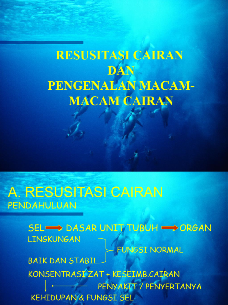 Resusitasi Cairan Dan Macam Cairan | PDF