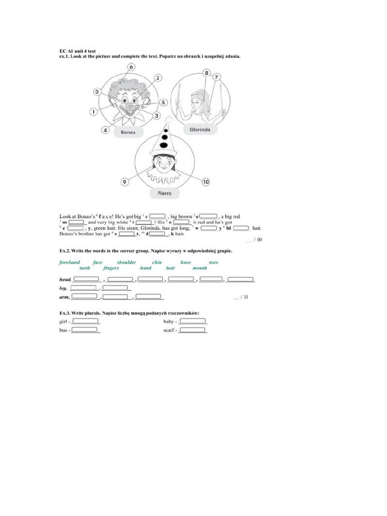 Have Got Sprawdzian English Class Unit 4 Pdf 0248