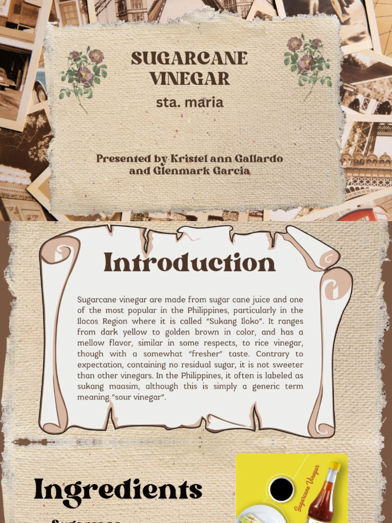 Sugarcane Vinegar | PDF