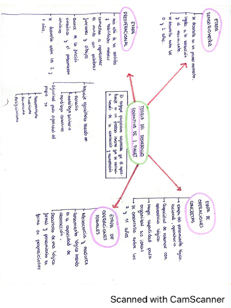 Mapa Mental t6 | PDF