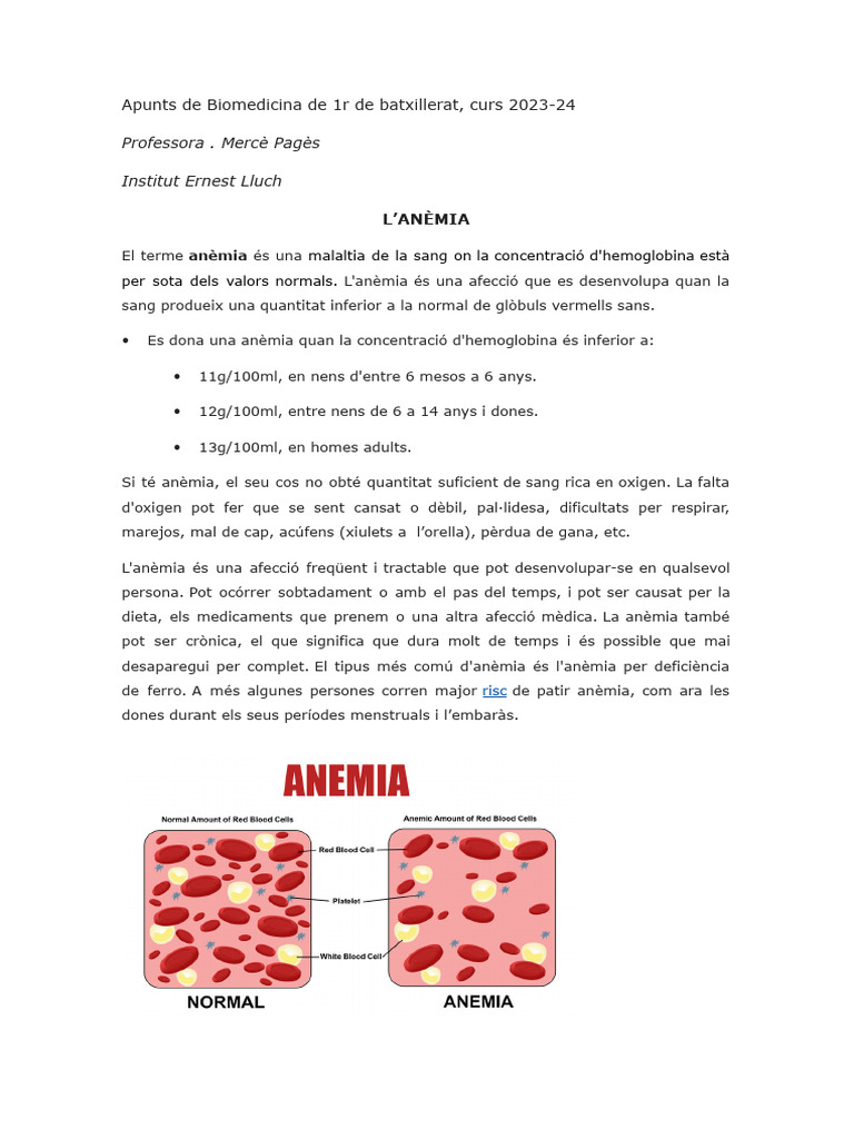 Anèmia Text | PDF