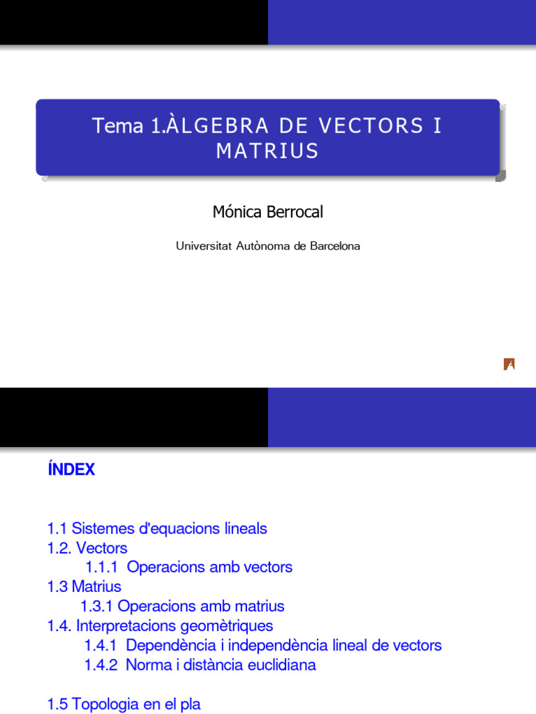 Vectors I Matrius Classes 2324 | PDF