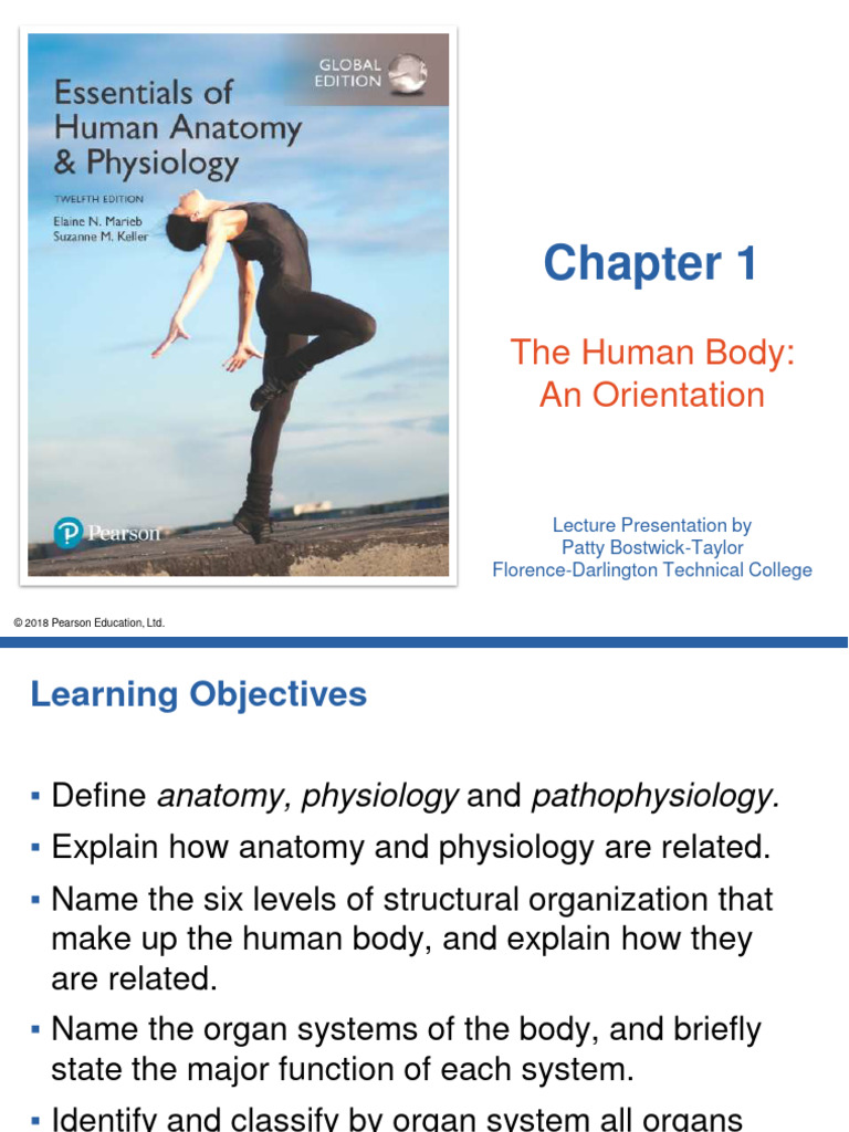 CH 01 Lecture Presentation | PDF