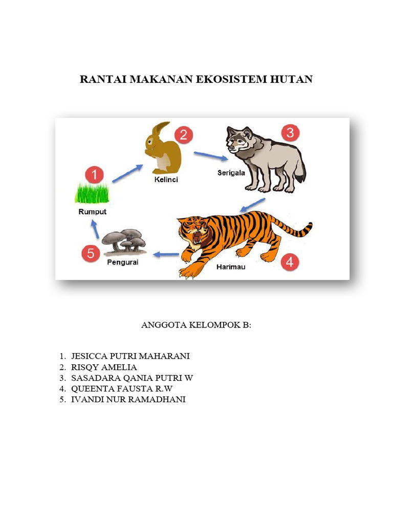 Rantai Makanan Ekosistem Hutan | PDF