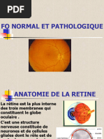 Anatomie et physiologie des glandes lacrymales | PDF | Anatomie humaine ...