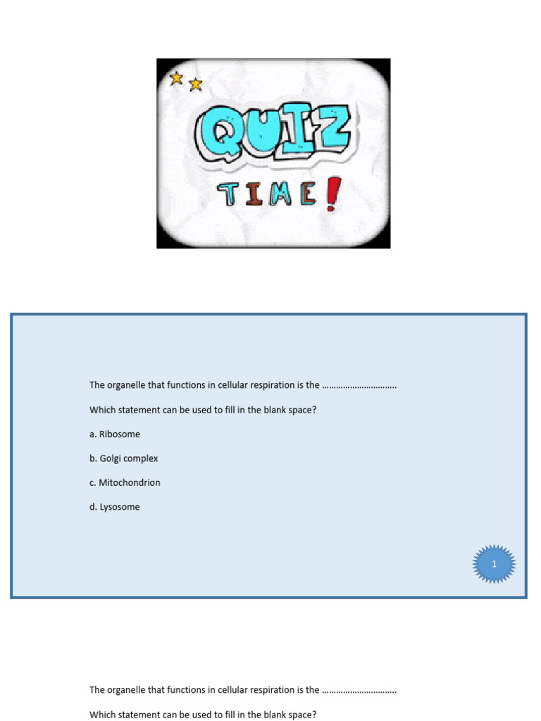 1 Quiz | PDF