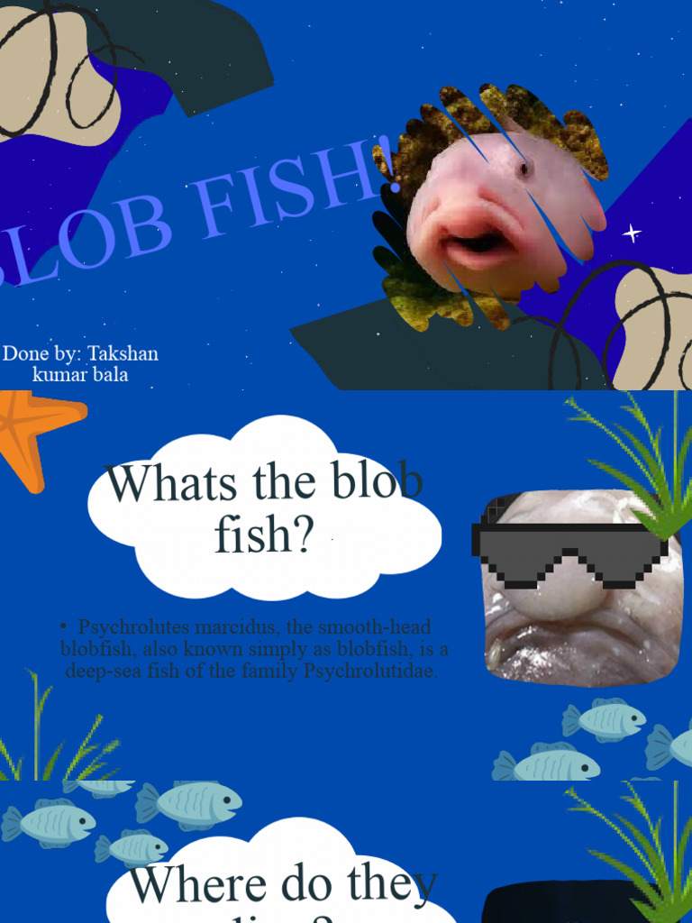 Facts Anout Blob Fishs | PDF | Home & Garden