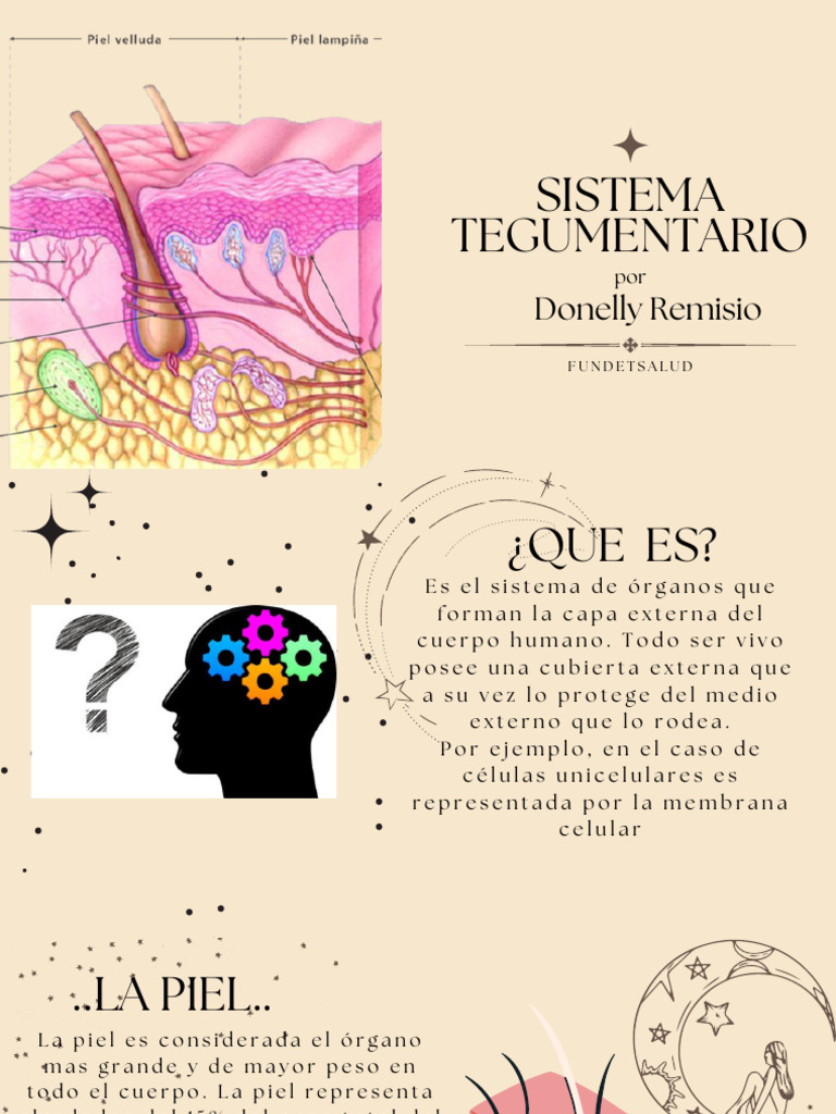 Sistema Tegumentario 022300 | PDF