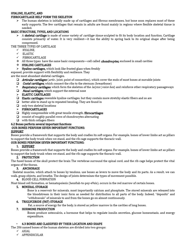 Anaphy Skeletal System | PDF