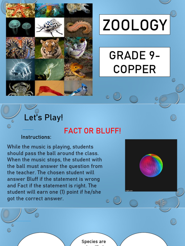 Grade 9 Taxonomy Class Activity Guide | PDF | Language Arts ...