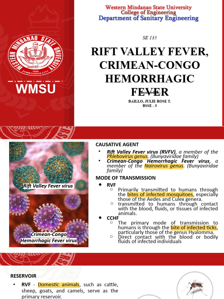 Baillo-Rift Valley Fever | PDF | Organisms | Animals And Humans