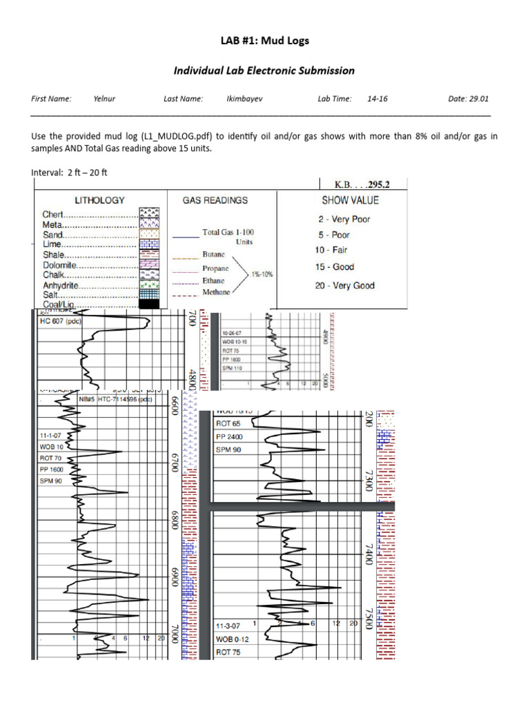 Mud Log Analysis and Interpretation | PDF | Oil Well | Chemistry