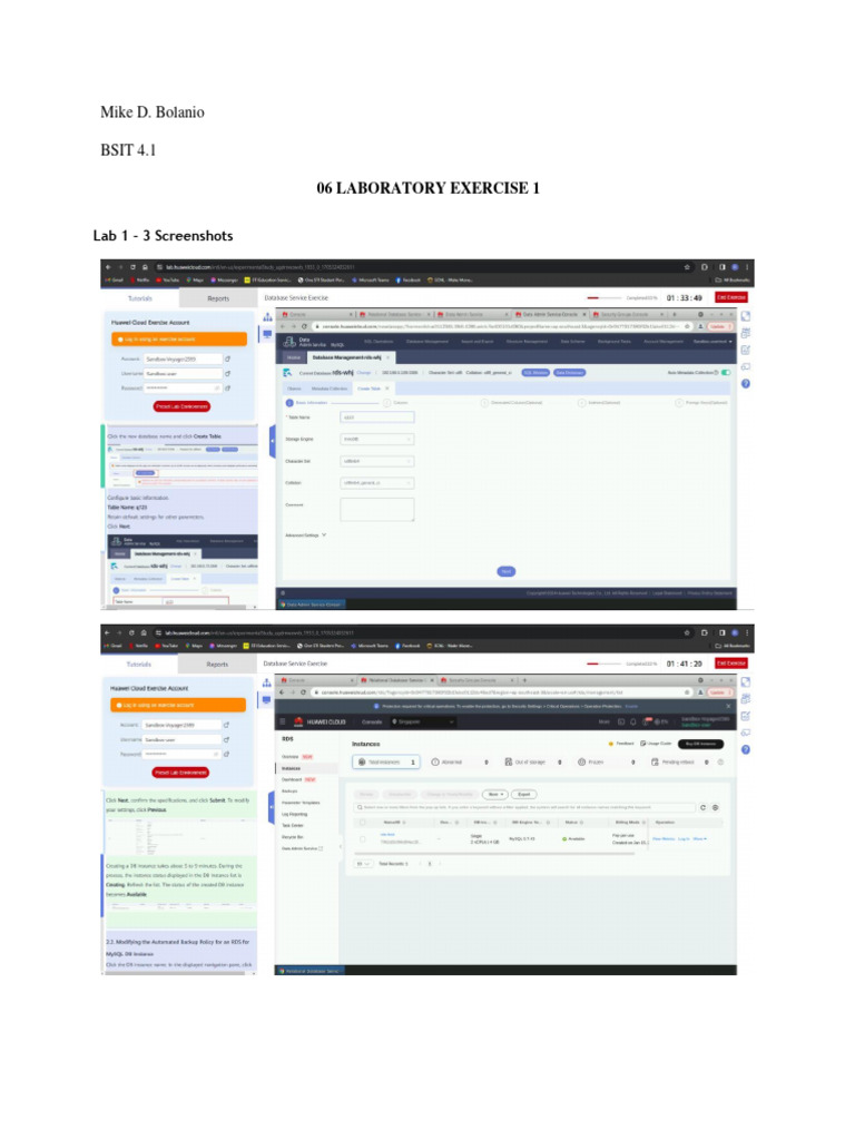 06 Lab Exer 1 | PDF | Business | Technology & Engineering