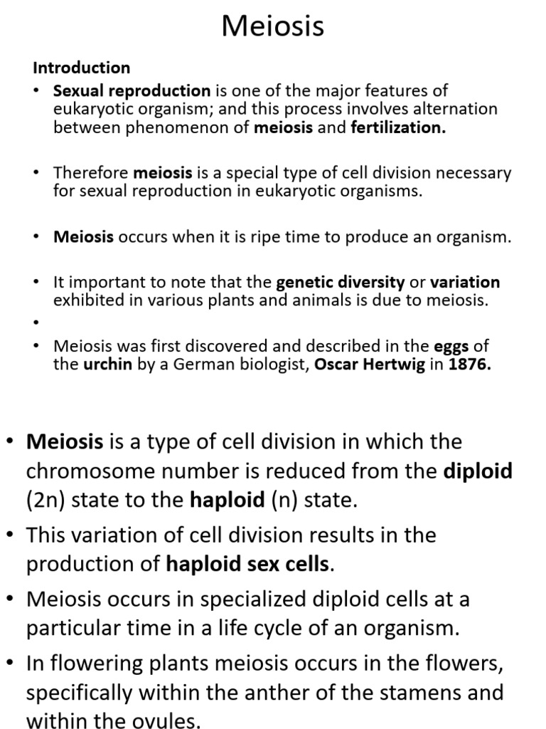 Cell Division Meiosis | PDF | Meiosis | Ploidy