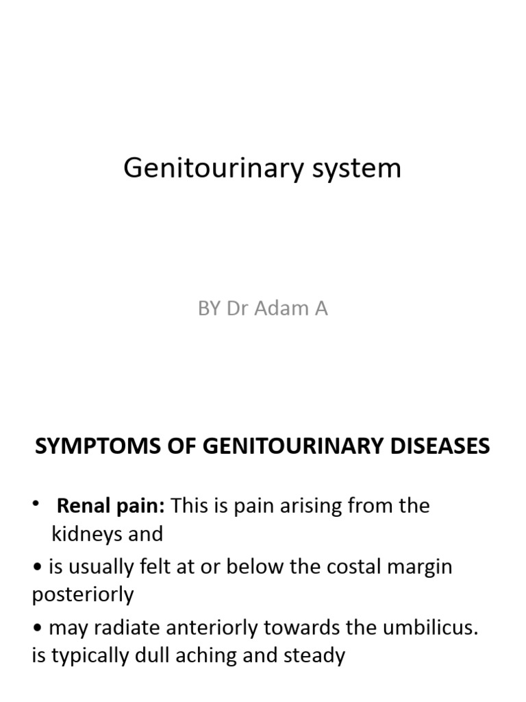 Genitourinary System Symptoms Overview | PDF | Urinary System ...