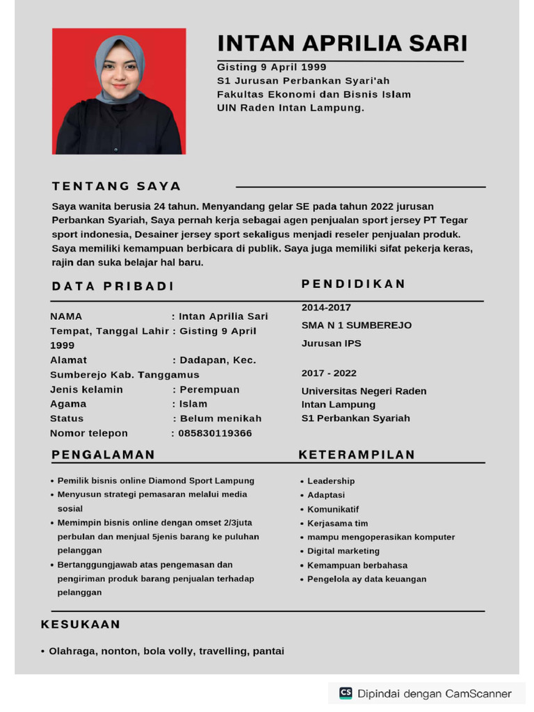 CV Intan | PDF