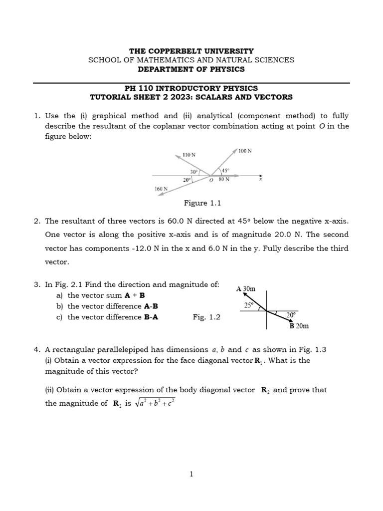 Tutorial 2 - Scalars and Vectors - 2023 - 2024 | PDF | Euclidean Vector | Motion (Physics)