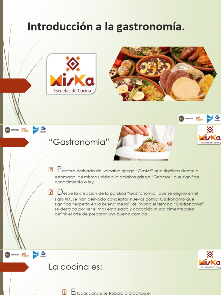 Modulo Introduccion A La Gastronomia | PDF