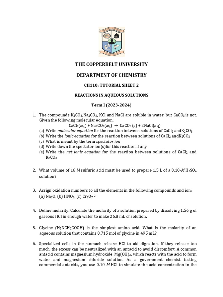 CH110 Aqueous Reactions Tutorial | PDF
