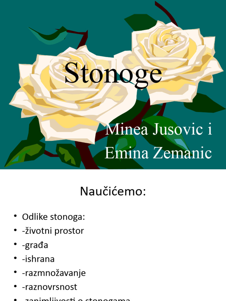 Stonoge | PDF