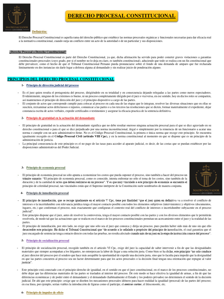 Derecho Procesal Constitucional | PDF | Habeas corpus | Ley procesal