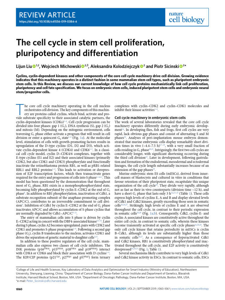The Cell Cycle in Stem Cell Proliferation, Pluripotency and ...