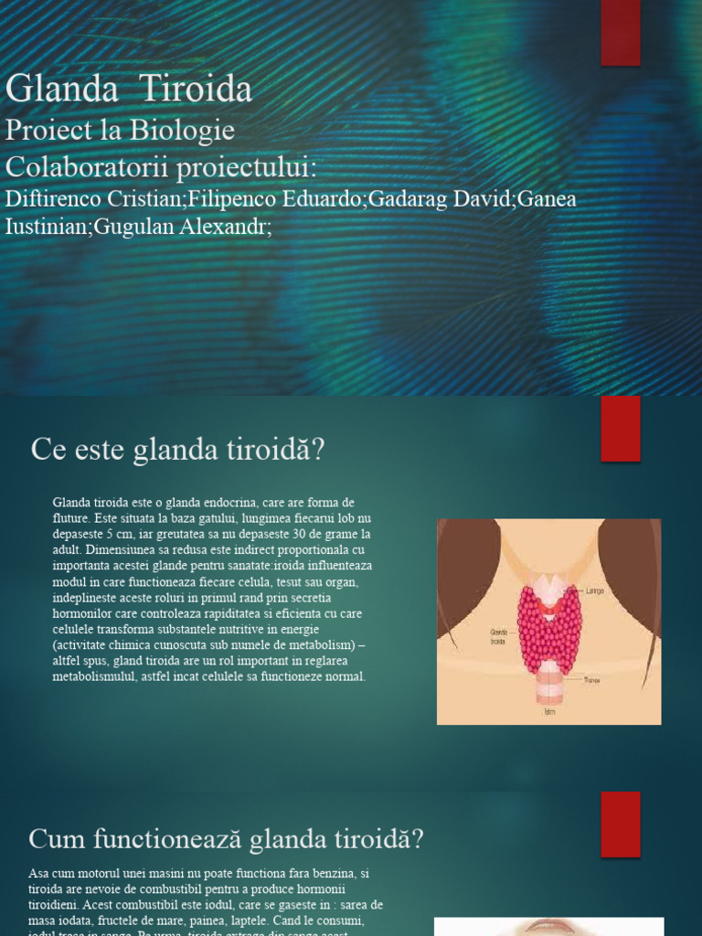 Glanda Endocrina Tiroida | PDF