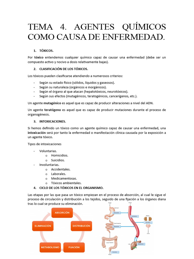 Tema 4 | PDF | Toxicidad | Biotransformación