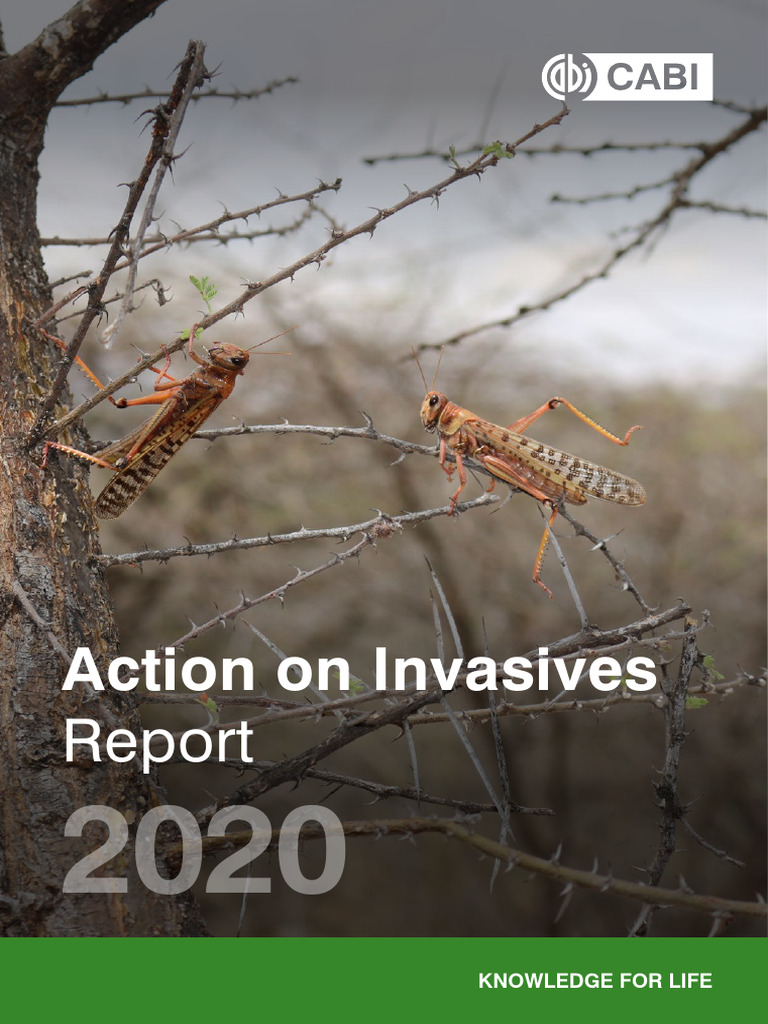 Action On Invasives Annual Report 2020 PUBLIC | PDF | Biological Pest ...