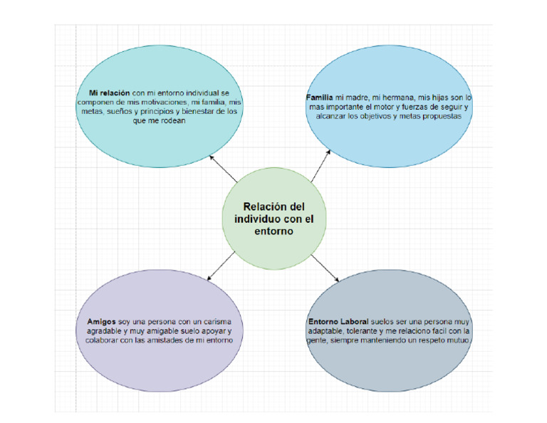 Diagrama Relacion Del Individuo Con El Entorno | PDF