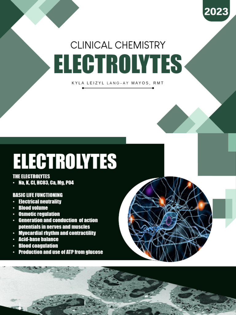 Electrolytes 1 | PDF | Electrolyte | Endocrine System