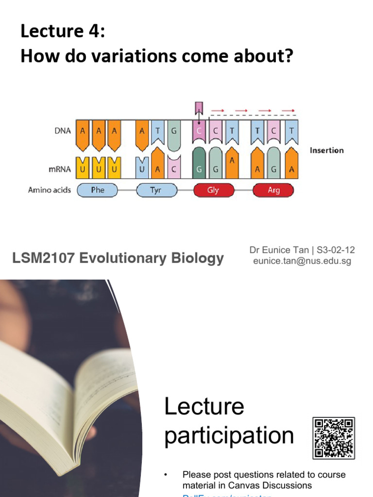 Lecture 4 The Sources of Genetic Variation | PDF