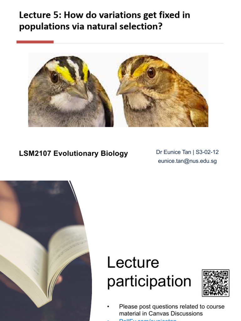 Lecture 5 How Do Variations Get Fixed Nat Sel | PDF | Dominance (Genetics) | Population Genetics