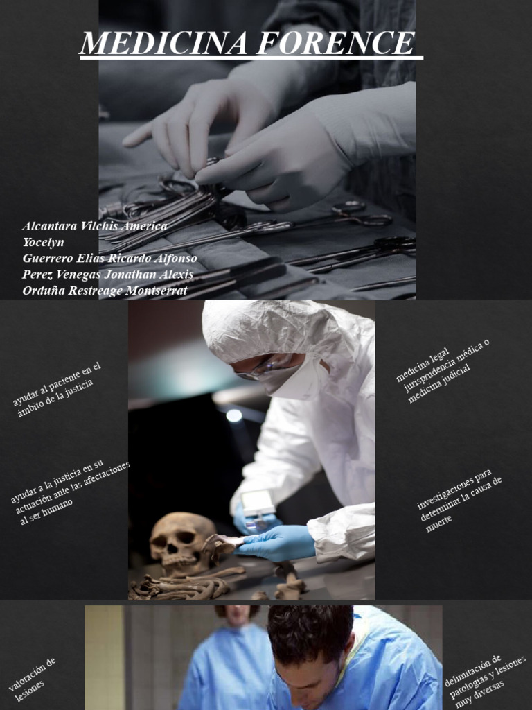 Medicina Forense: Áreas y Funciones Clave | PDF | Medicina | Cuidado de ...