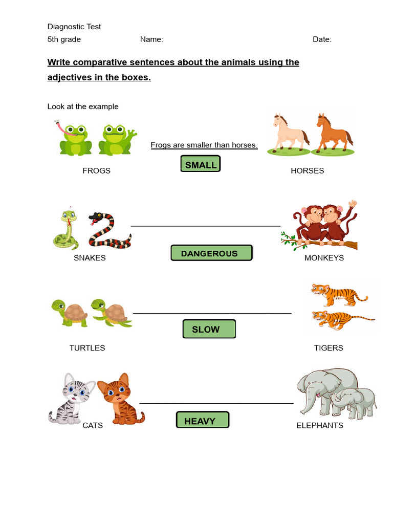 Diagnostic Test 5th Grade | PDF