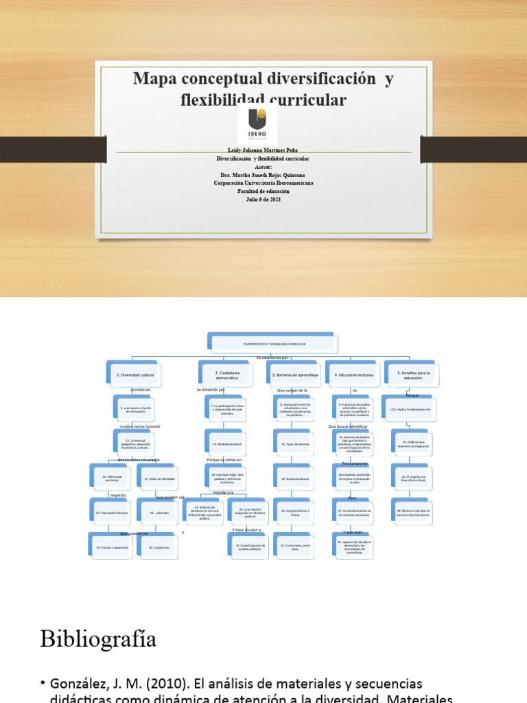 Mapa Conceptual Individual Leidy | PDF