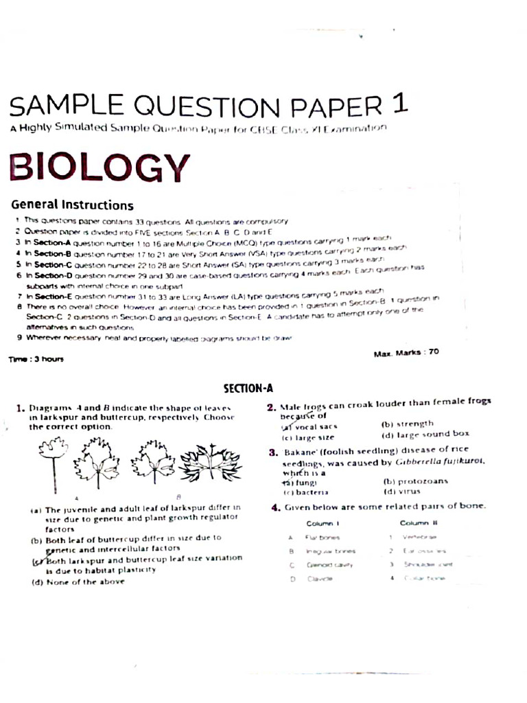English class 11 sample question paper 1,2,3 | PDF