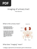CT Urography: Techniques & Protocols | PDF | Ct Scan | Kidney