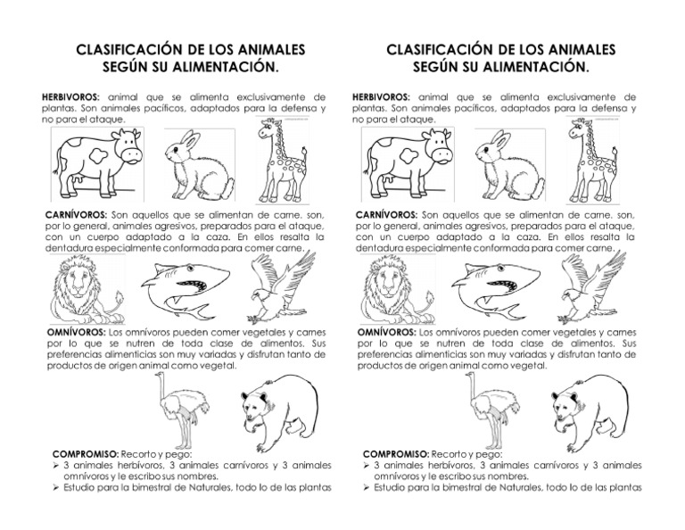 Animales Herbivoros Carnivoros y Omnivoros | PDF