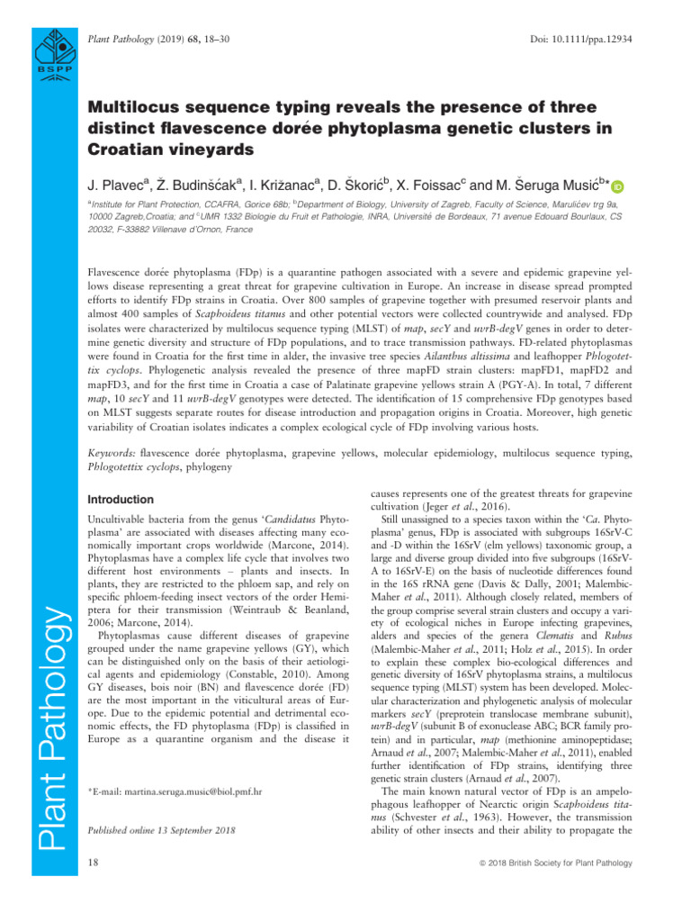 Flavescence Doree Method | PDF