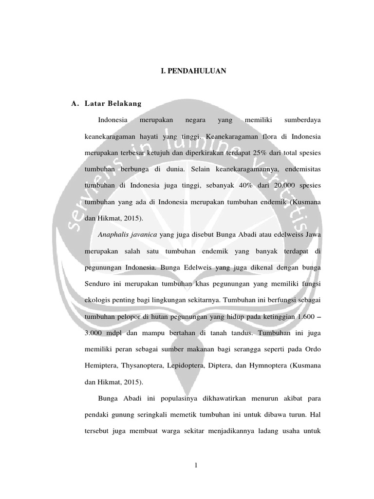 I. Pendahuluan: Anaphalis Javanica Yang Juga Disebut Bunga Abadi Atau ...