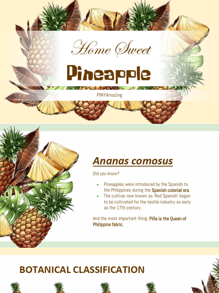 Pineapple | PDF
