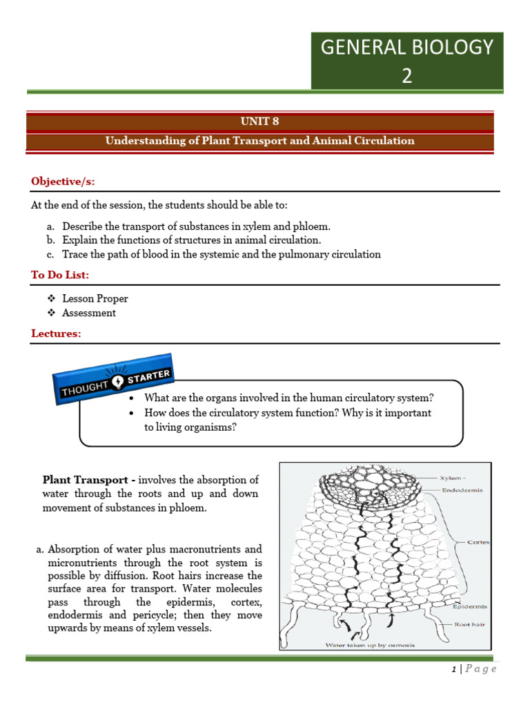 UNIT 8 (Circulatory System) | PDF